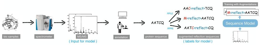 Reflection Pretraining Enables Token-Level Self-Correction in ...
