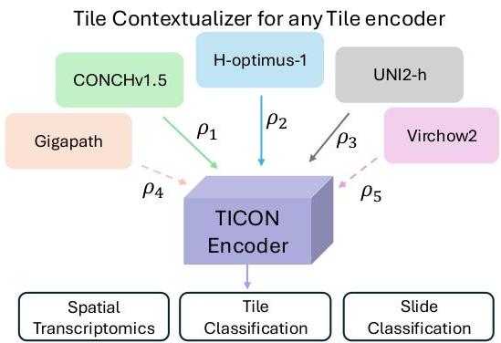 TICON: A Slide-Level Tile Contextualizer for Histopathology ...