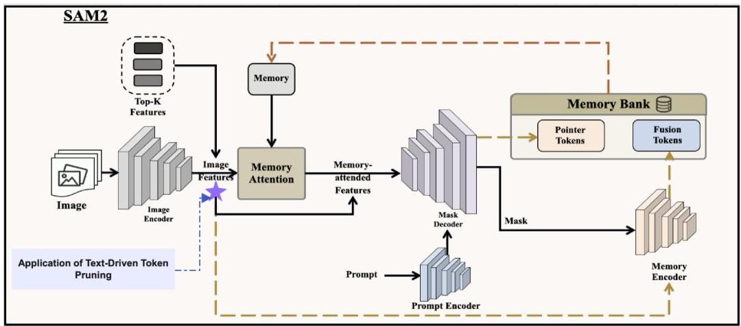 Fast SAM2 with Text-Driven Token Pruning | alphaXiv