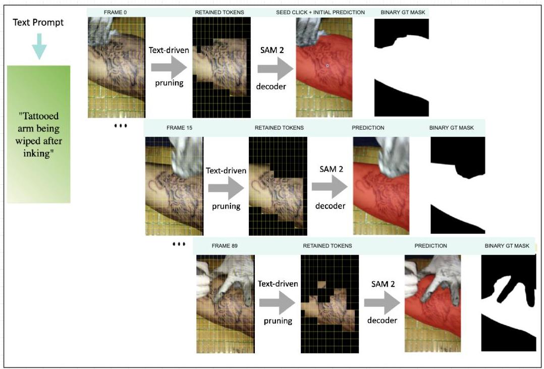Fast SAM2 with Text-Driven Token Pruning | alphaXiv