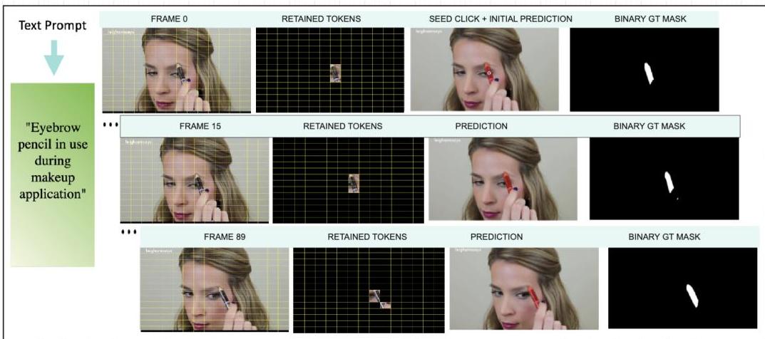Fast SAM2 with Text-Driven Token Pruning | alphaXiv