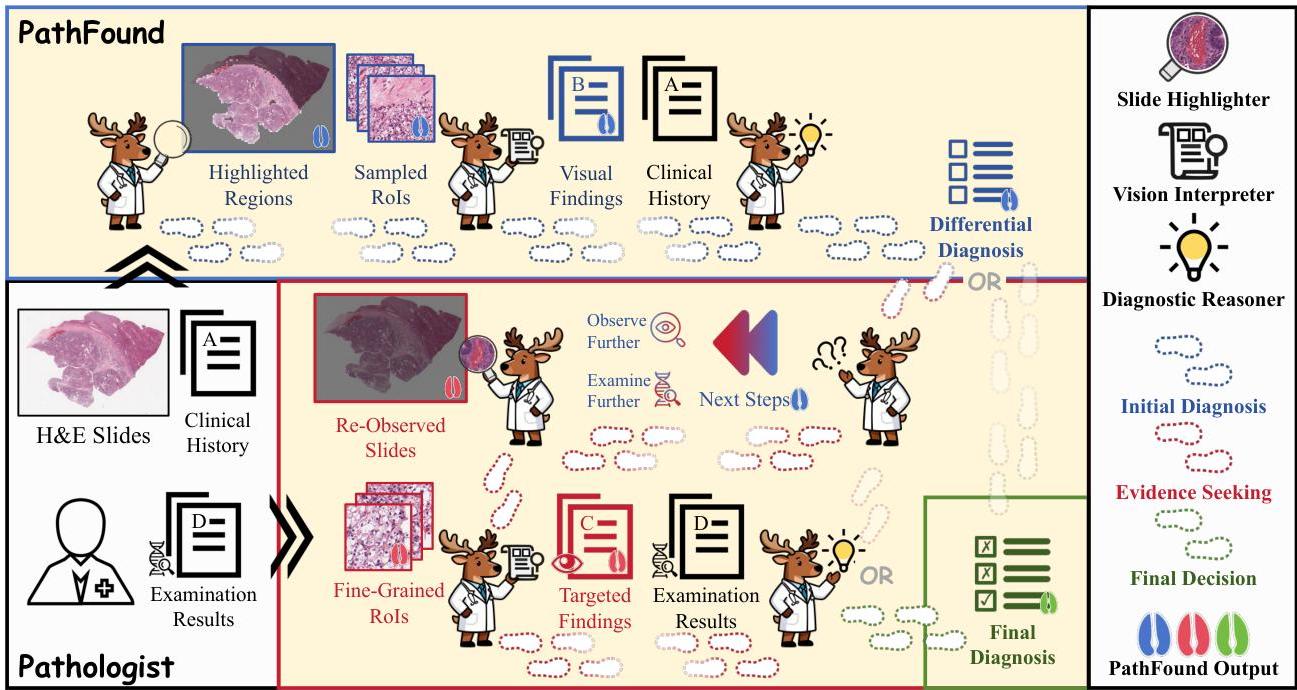 PathFound: An Agentic Multimodal Model Activating Evidence-seeking ...