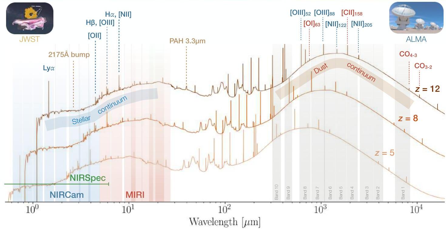 The early Universe with JWST and ALMA | alphaXiv