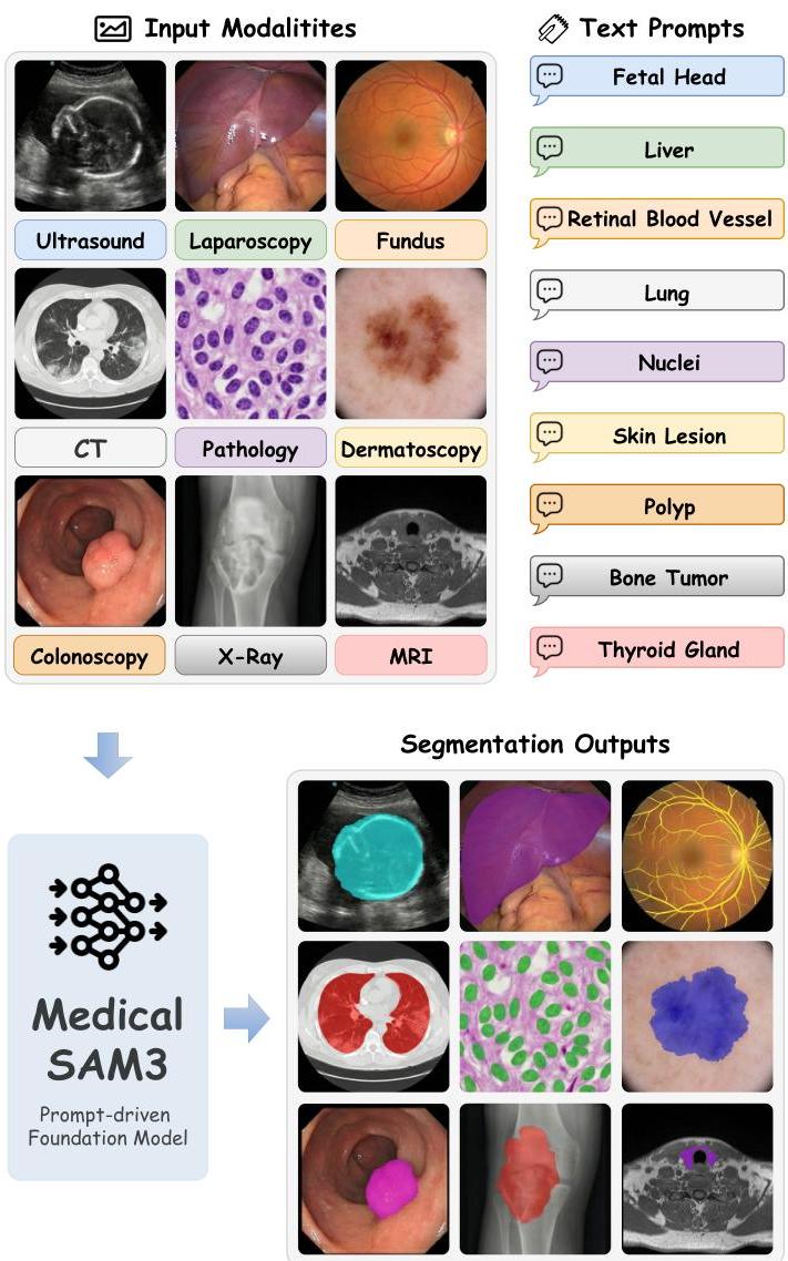 Medical SAM3: A Foundation Model for Universal Prompt-Driven Medical ...