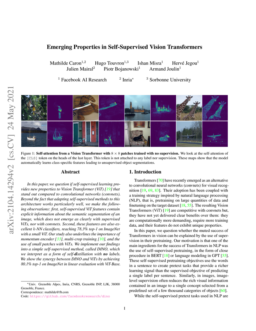 Emerging Properties in Self-Supervised Vision Transformers | alphaXiv