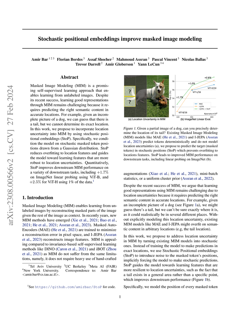 Stochastic positional embeddings improve masked image modeling | alphaXiv