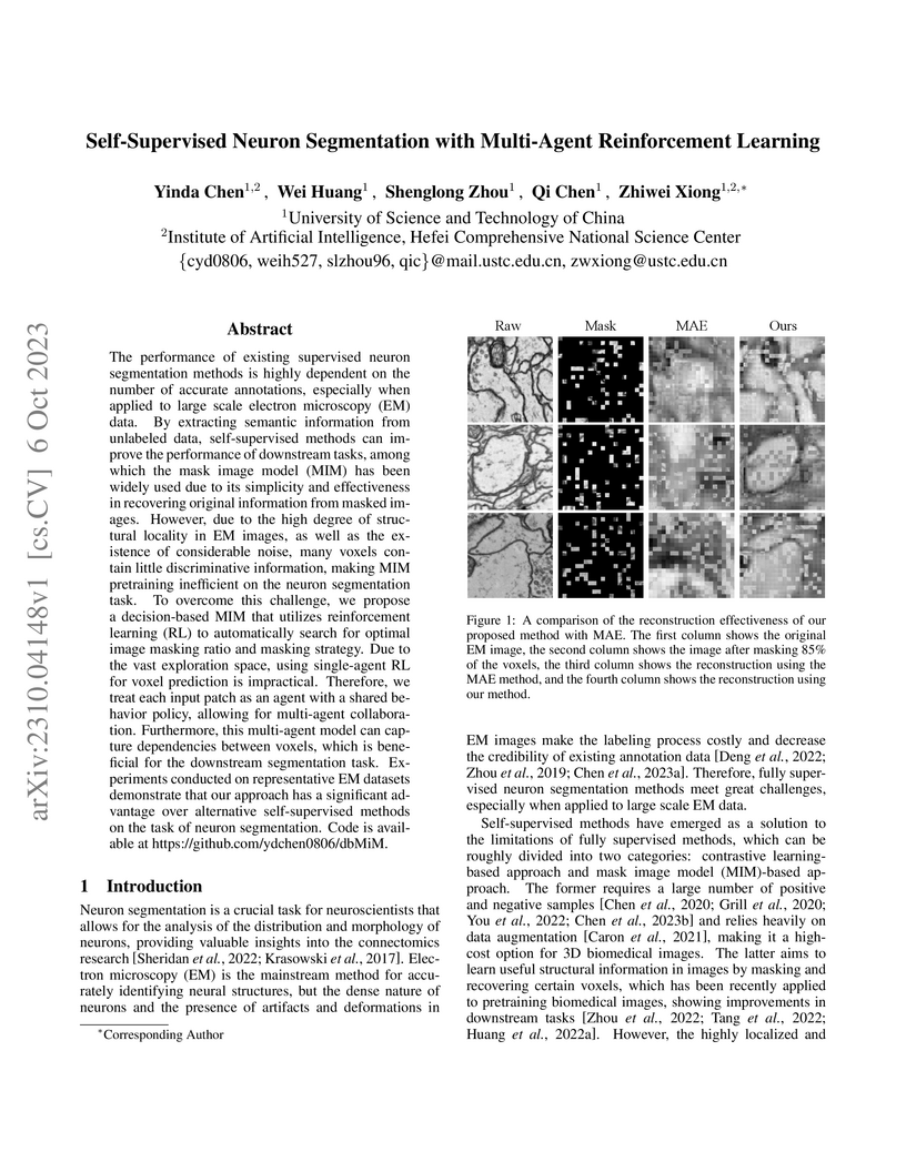 Self-Supervised Neuron Segmentation with Multi-Agent Reinforcement Learning | alphaXiv