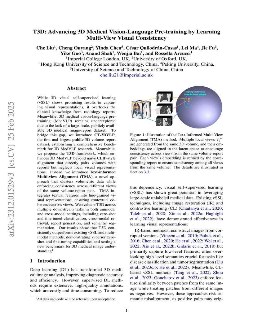 T3D: Advancing 3D Medical Vision-Language Pre-training by Learning ...