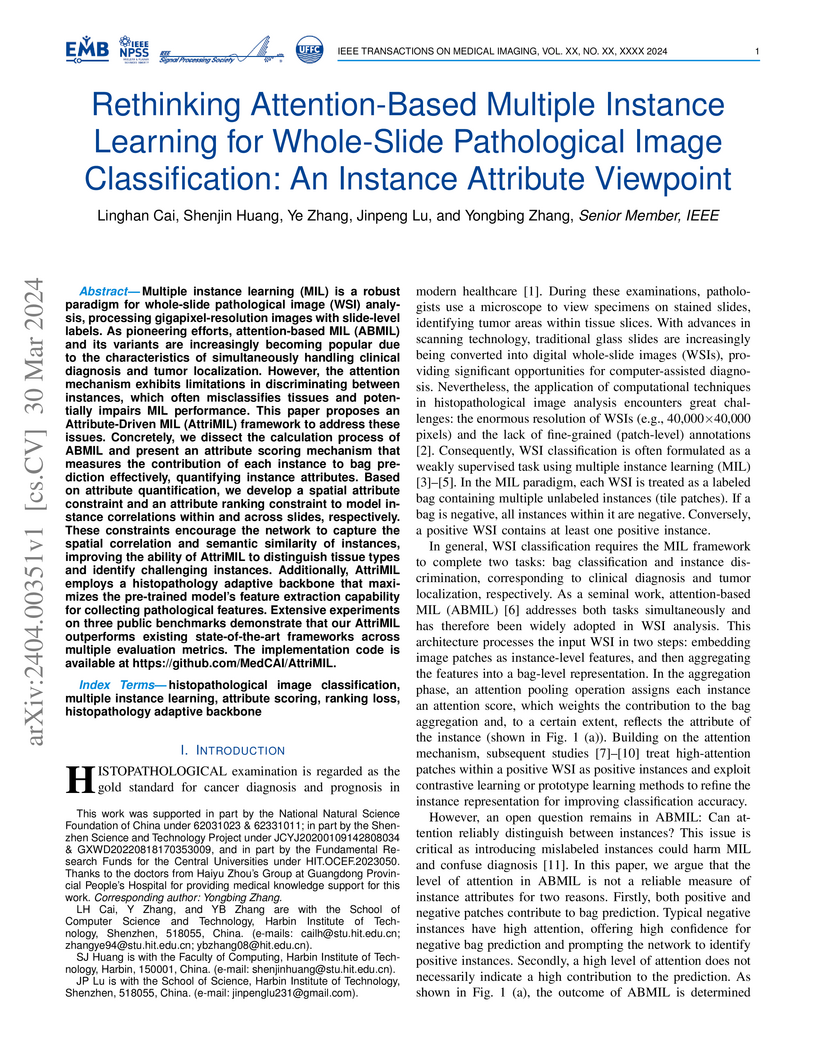 Rethinking Attention-Based Multiple Instance Learning for Whole-Slide Pathological Image ...