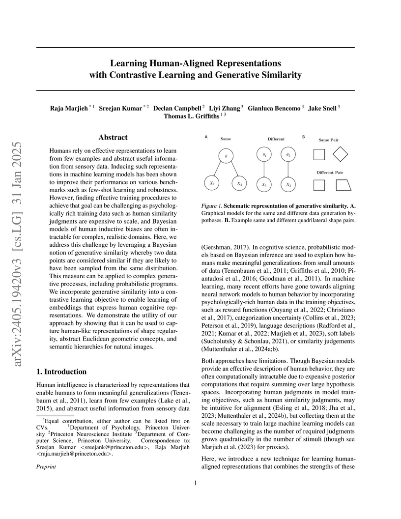 Learning Human-Aligned Representations with Contrastive Learning and Generative Similarity ...