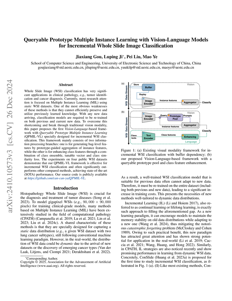 Queryable Prototype Multiple Instance Learning with Vision-Language Models for Incremental Whole ...