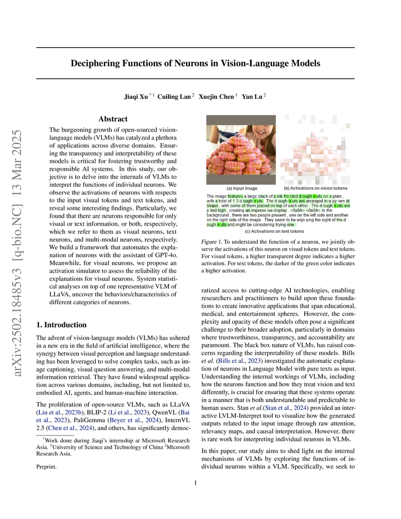 Deciphering Functions of Neurons in Vision-Language Models | alphaXiv