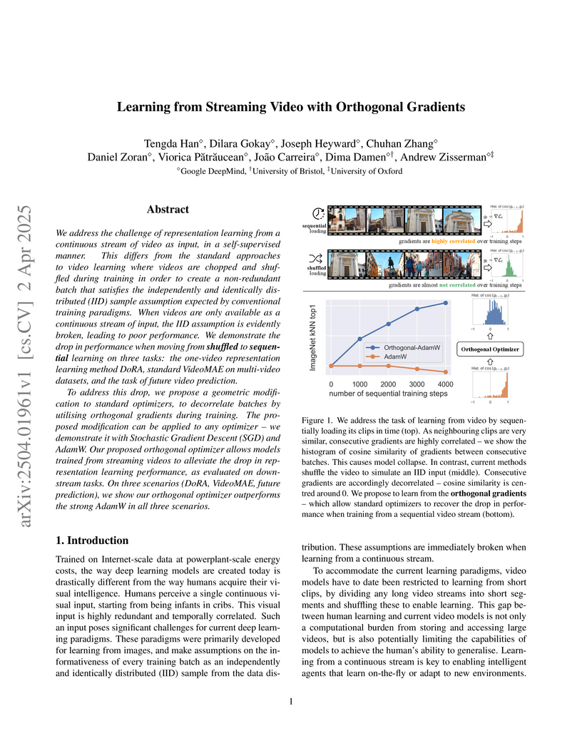 Learning from Streaming Video with Orthogonal Gradients | alphaXiv